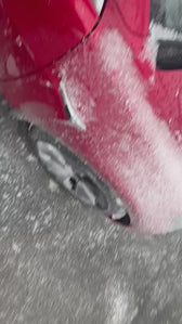 Undrdog Pro Plus - Elite Protective Coating For Cars